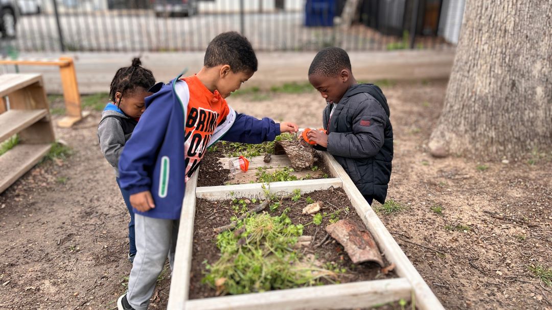 Green Space Learning - Summer Camp